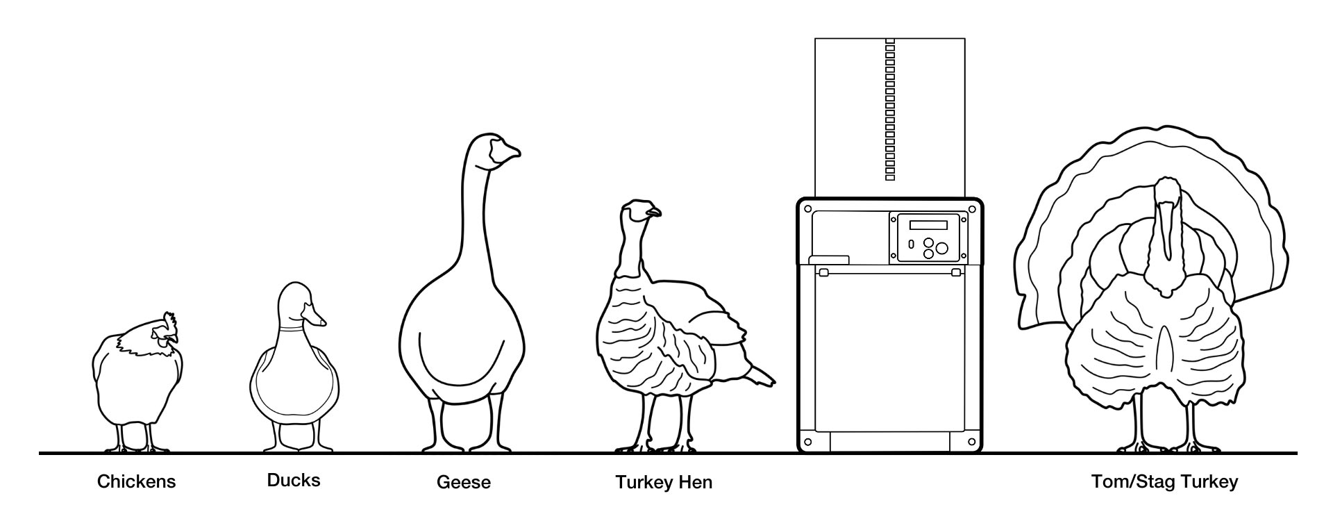 Chickenguard All In One in Green - Automatic Chicken Coop Door